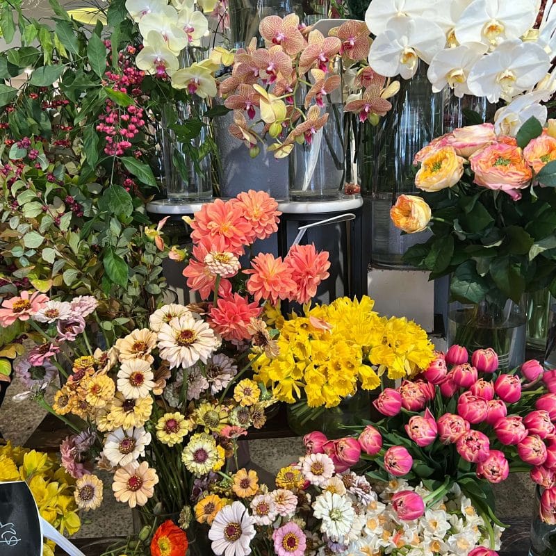The Best Fitzroy Vintage Shops for a Stylish Throwback - Fitzroy Local