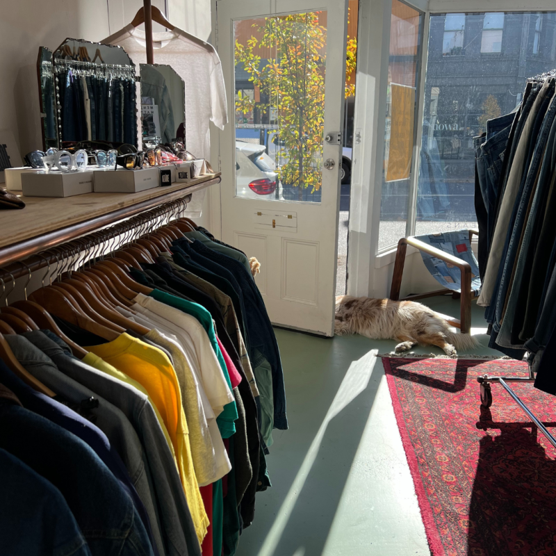 Fitzroy Local - Your Guide to the Good Life in Fitzroy